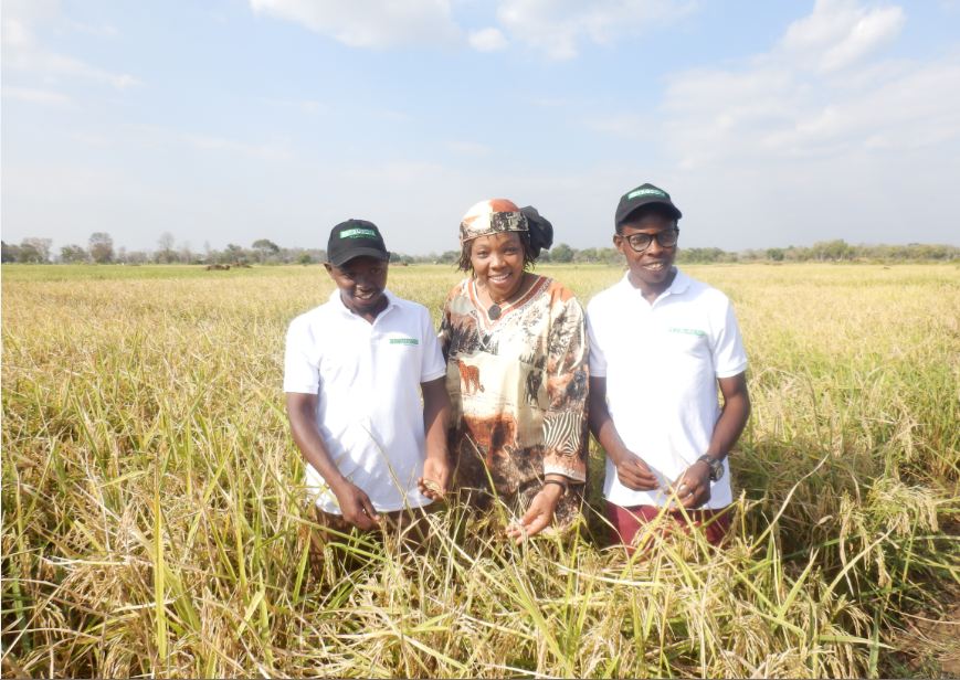 Agricultural Seed Agency – ASA